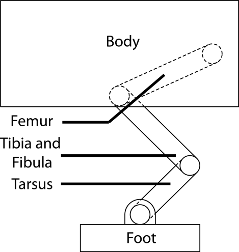 Simulating the Bird's Leg as a Double Inverted Pendulum