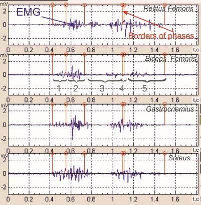Complex Analysis of Human Movements based on the Identification of ...